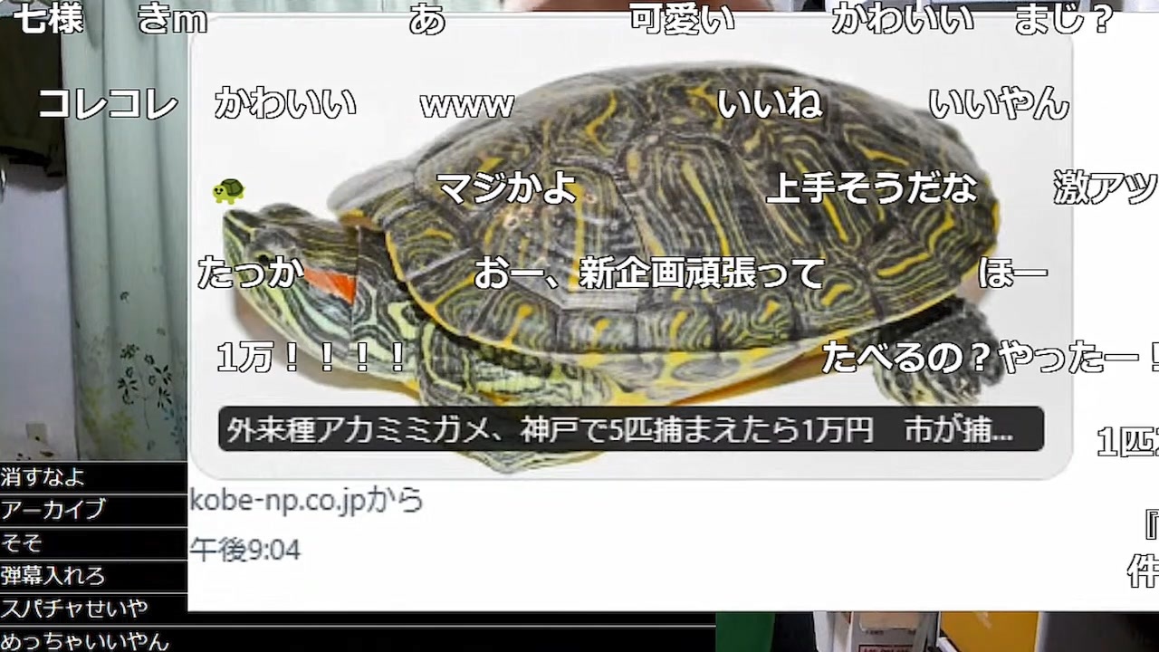 七原くん 20240611「テスト」米有後編hd1か月ぶりニコサイバー攻撃で初ytl就活デリドラ受かる⇒盗 で 察に 報され車清掃業