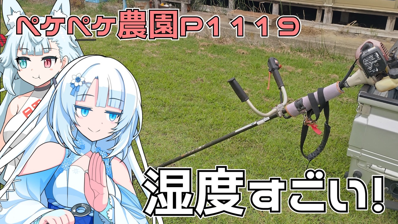 2024年9月15日 農作業日誌P1119 湿度が高くて汗びっしょりになりながら草刈りしてました - ニコニコ動画