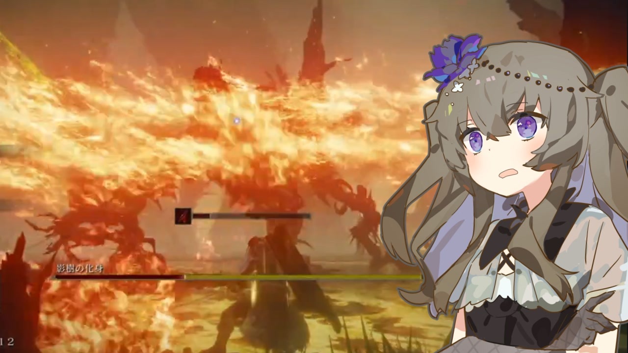 【エルデンリングDLC】デスヒマワリと無限ブンブン丸 #36 - ニコニコ動画