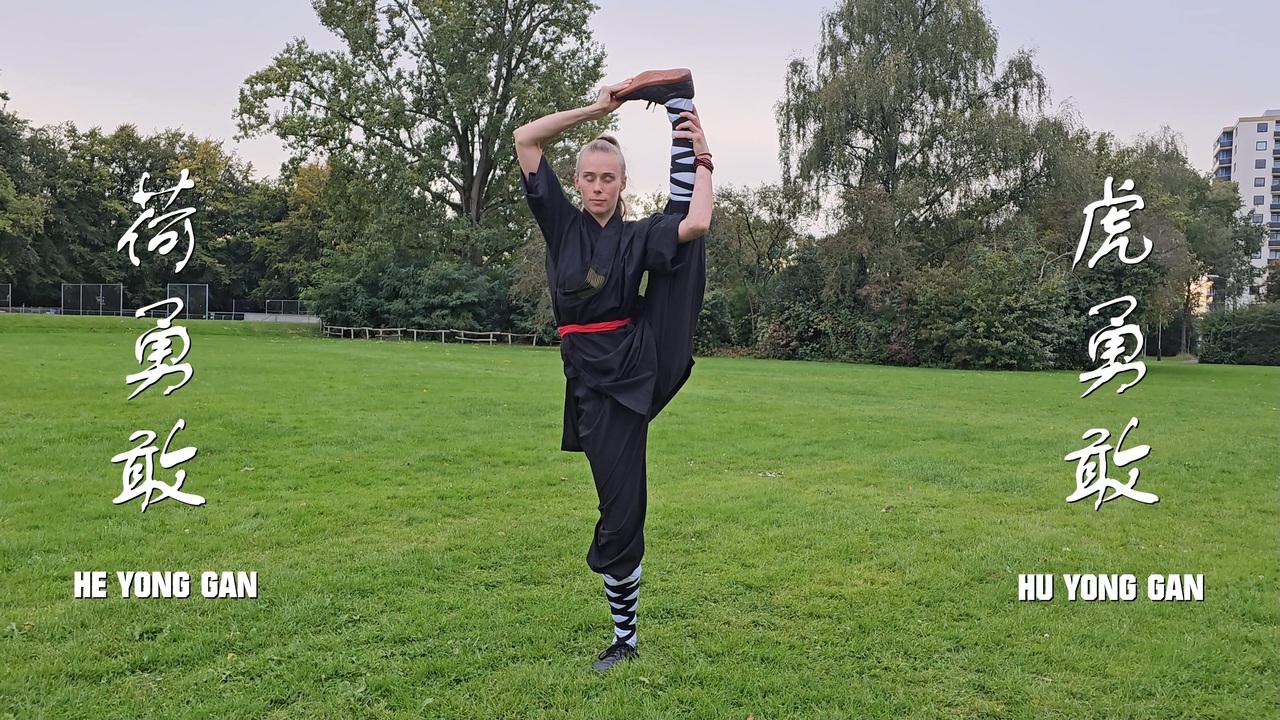 示範影片 He Yong Gan Martial Arts 中國武術傳統學院 Shaolin Kungfu Apeldoorn - ニコニコ動画