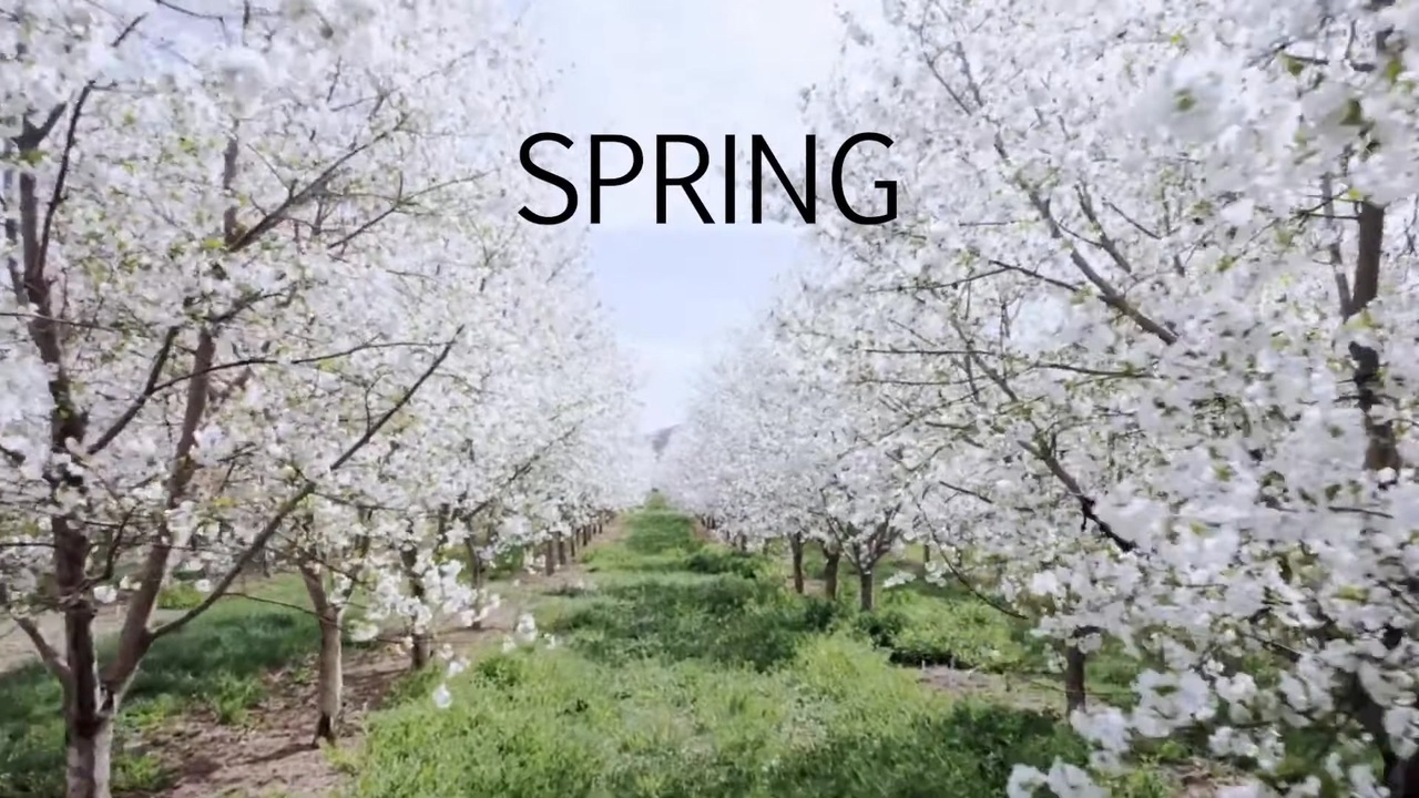 George Winston - Spring (Visualizer) - ニコニコ動画