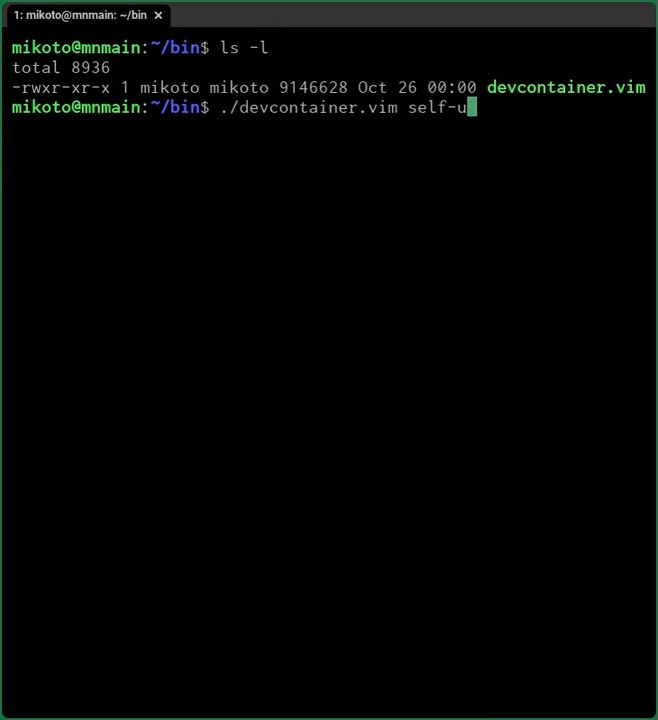devcontainer.vim 機能追加報告 - セルフアップデートができるようになりました - ニコニコ動画