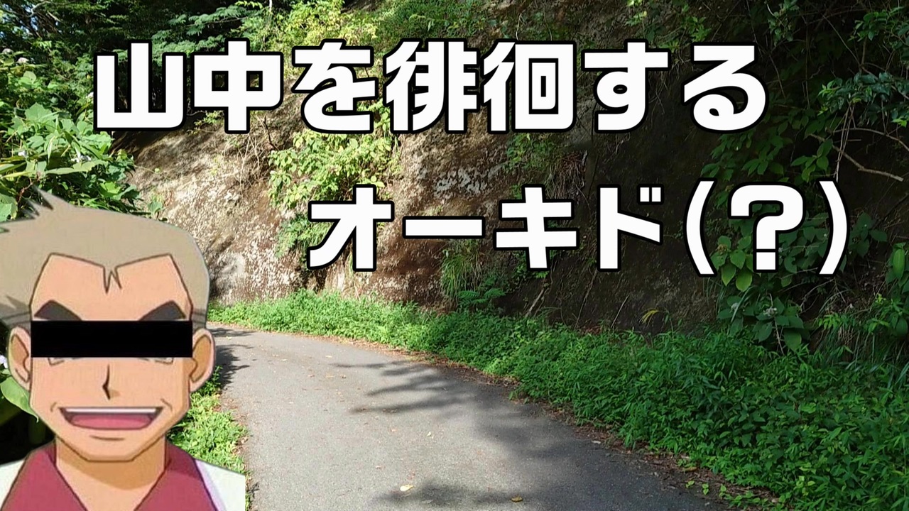 自分をオーキド博士だと思い込んだ一般男性がカントー地方の山の中をうろつく - ニコニコ動画