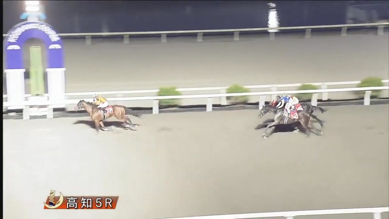 2024年11月16日高知競馬5R 株式会社山口シネマ協賛ユースチャレンジシリーズ JRA認定 土佐寒蘭特別(準重賞・2歳高知デビュー馬) ユラリユラメイテ - ニコニコ動画