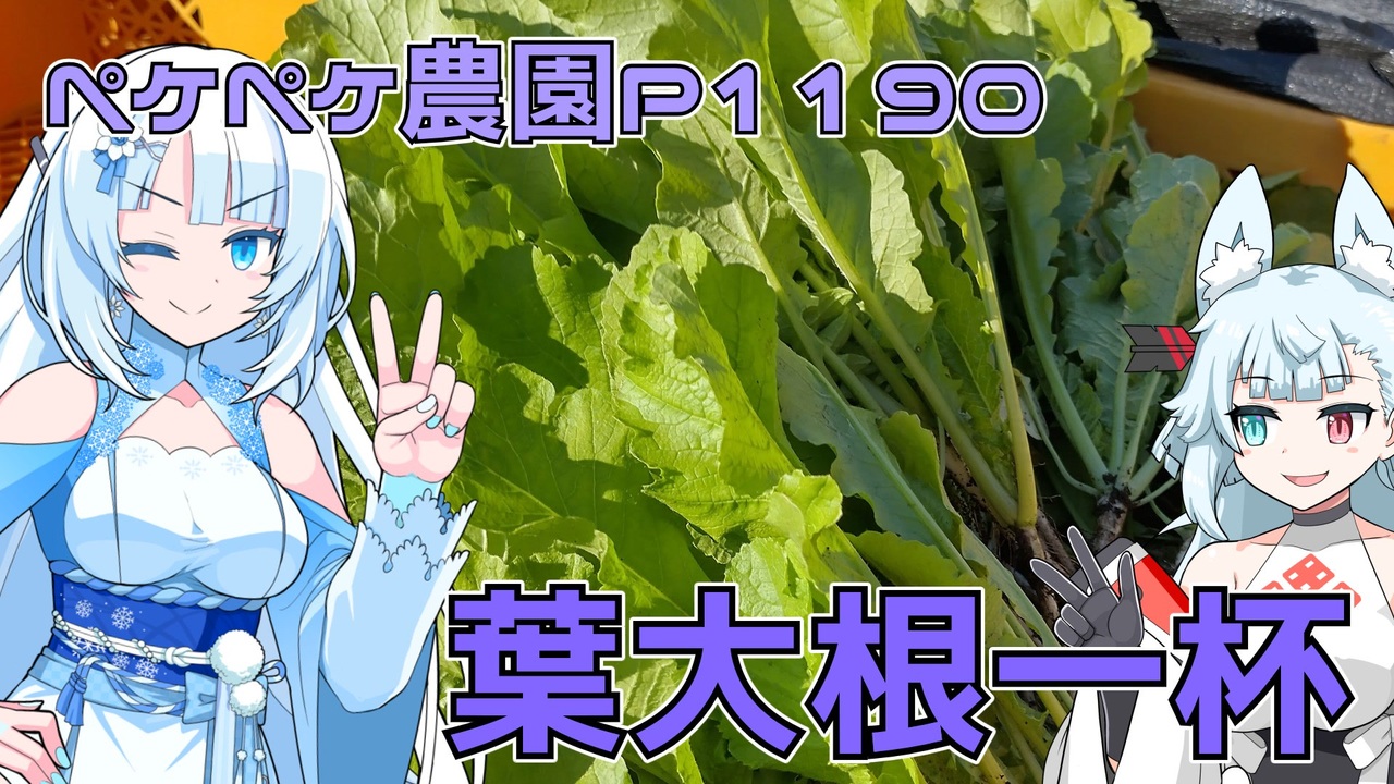 2024年11月25日 農作業日誌P1190 出荷は頑張るけど、ほかの人の出荷が無いのでガラガラの市場 - ニコニコ動画
