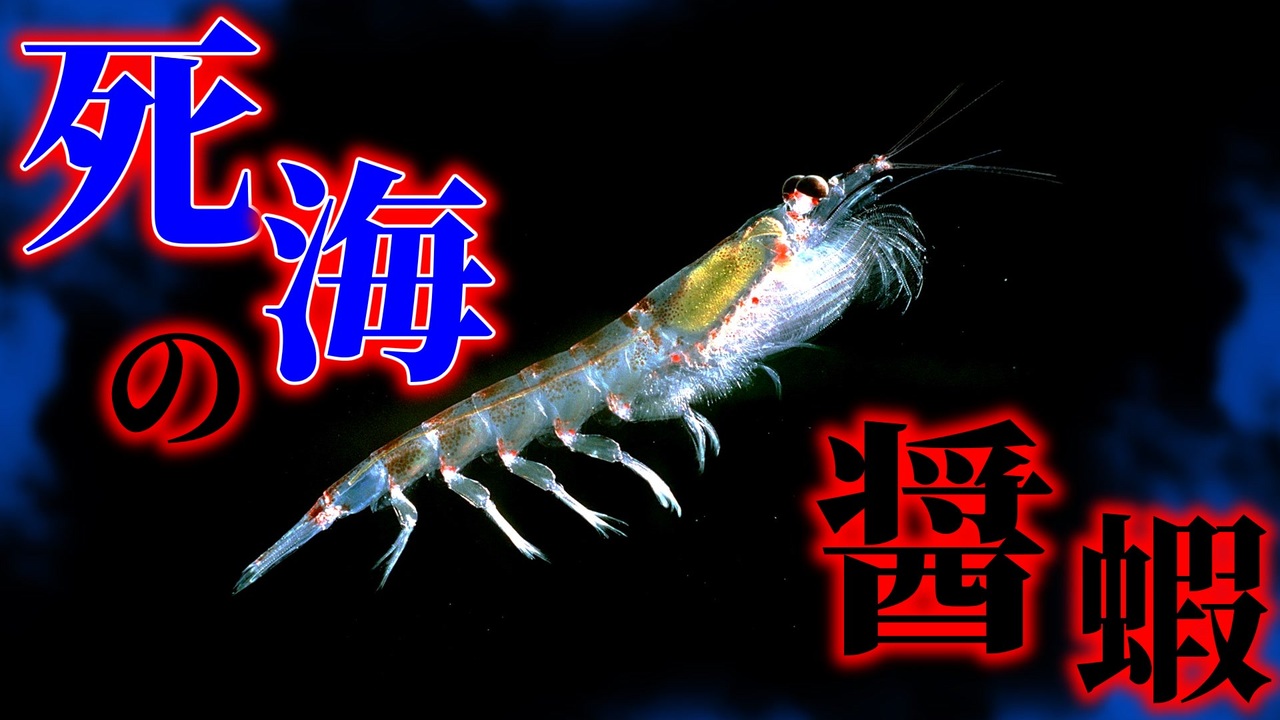 要注意団体も関与…？世界崩壊も免れない危険なオブジェクト【SCP-3200-JP】【ゆっくりSCP解説】 - ニコニコ動画