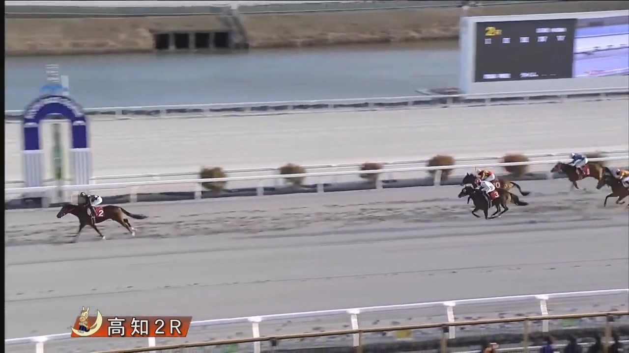 2025年1月29日高知競馬2R JRA交流競走 室戸盃(JRA3歳未勝利・3歳C3以下) ピクチャーカード - ニコニコ動画