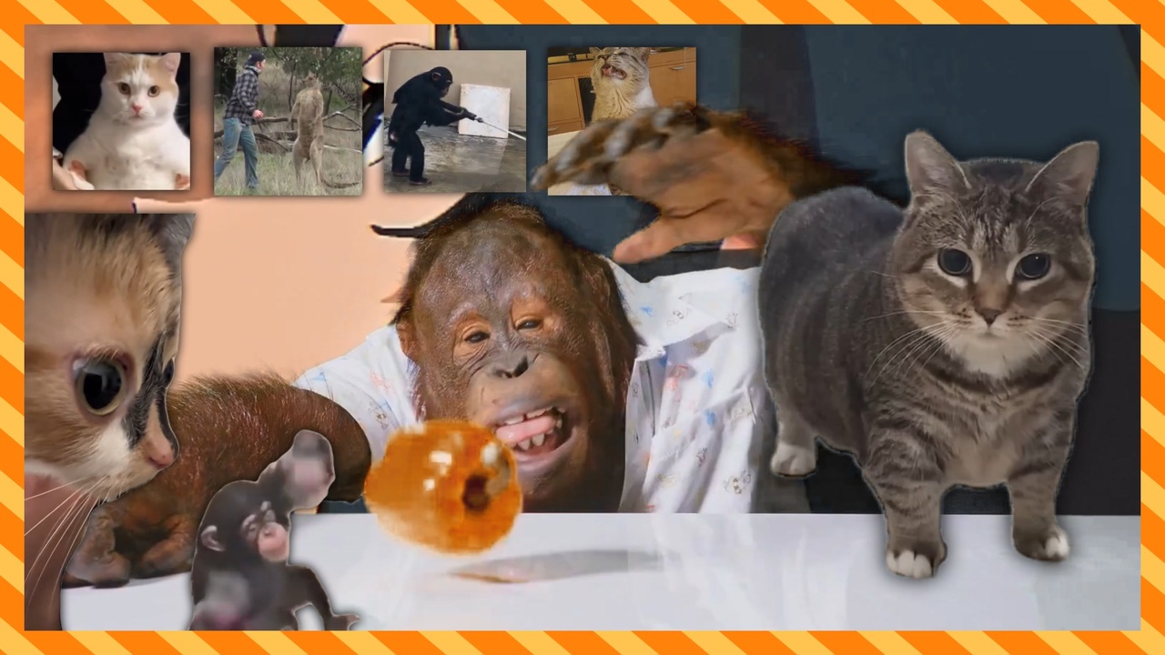 128√e980 - ニコニコ動画