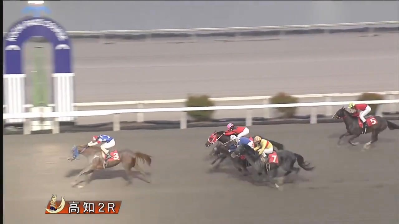 2025年2月12日高知競馬2R JRA交流競走 足摺盃(JRA3歳未勝利・3歳C3以下) バーニングフレーム - ニコニコ動画