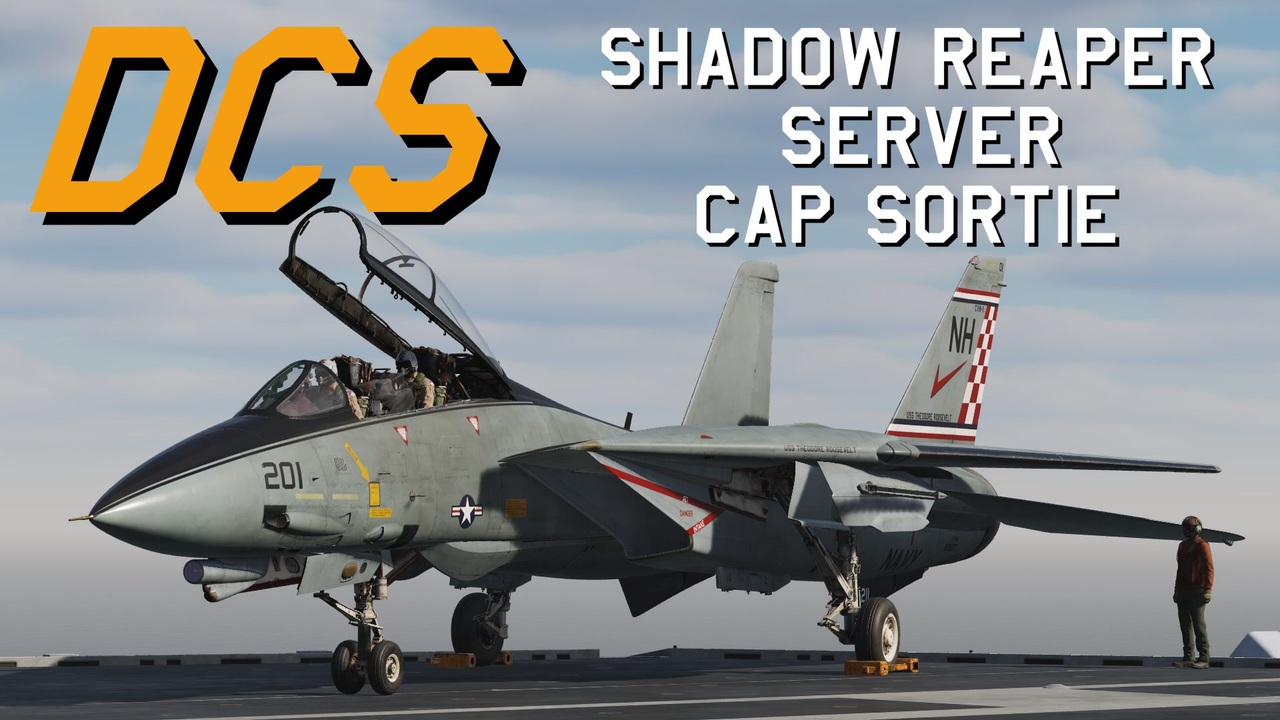 DCS World | F-14A | Shadow Reaper CAP sortie - ニコニコ動画