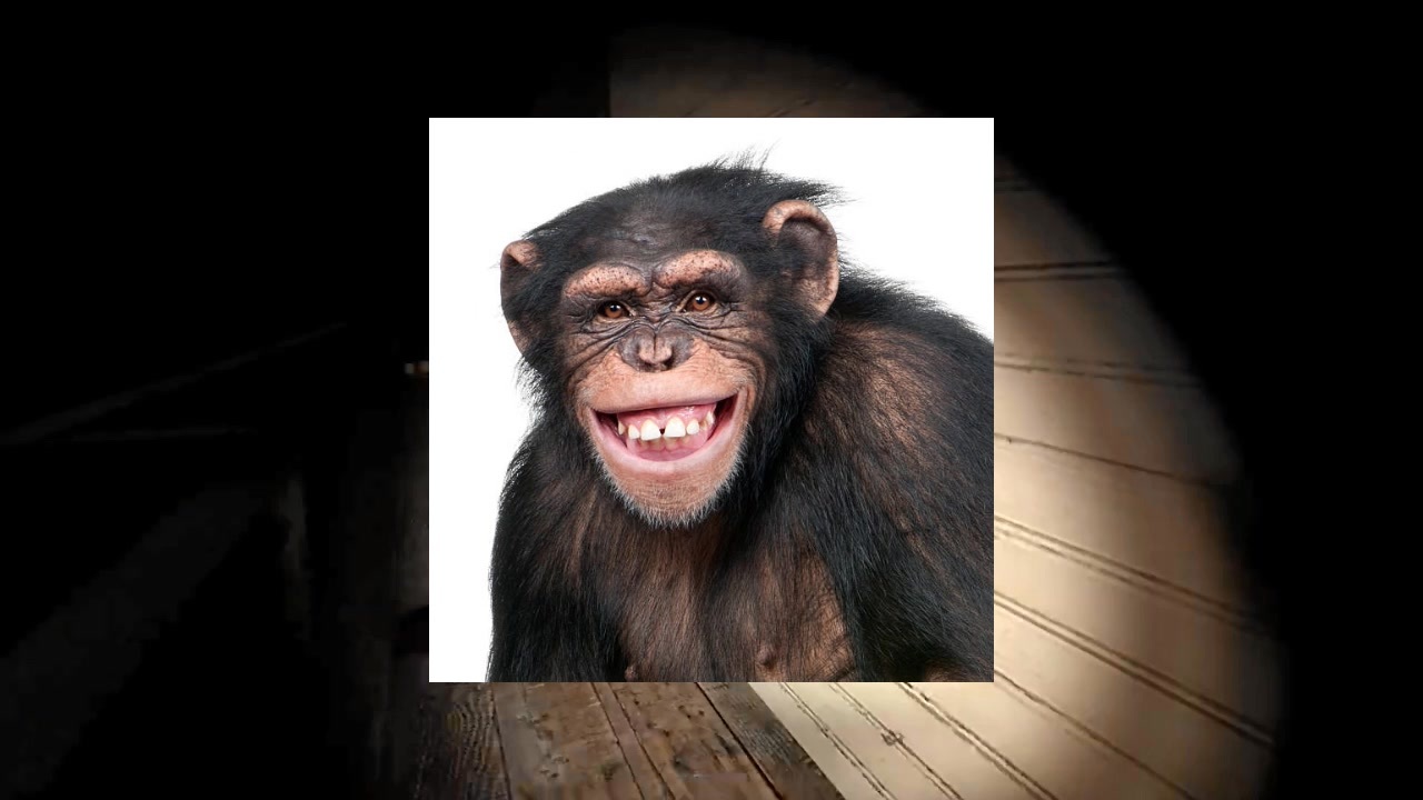 #3【G MOD】誰も信用出来ない警察27時 - ニコニコ動画