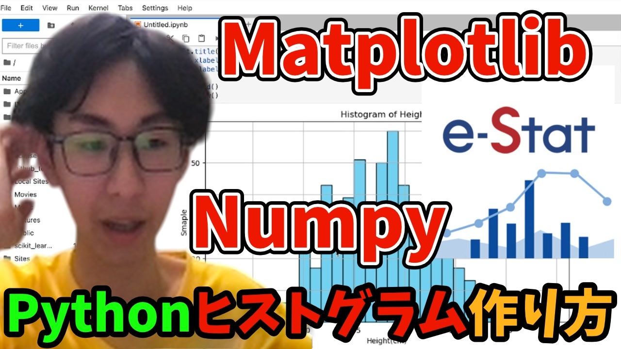 【Pythonライブコーディング】政府統計調査のデータ(e-stat)を使ってPythonでヒストグラム作成【NumpyとMatplotlib】 - ニコニコ動画
