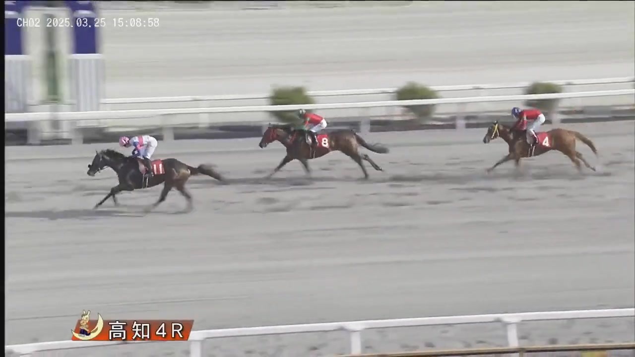 2025年3月25日高知競馬4R JRA交流競走 はりまや盃(JRA2勝クラス・A-2組以下) キョウエイゲイル - ニコニコ動画