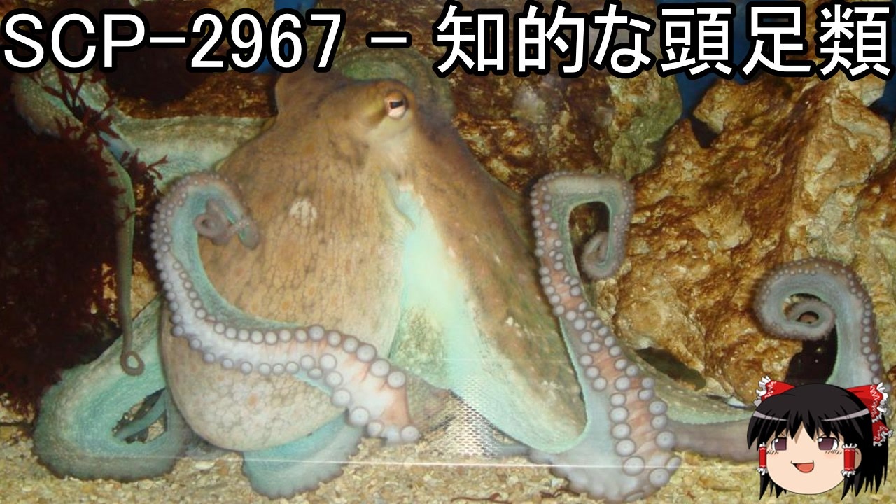 ゆっくりと一緒にSCPを紹介したい！その271【SCP】 - ニコニコ動画