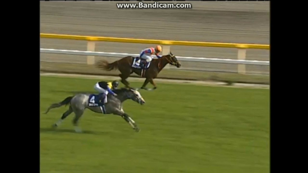 2001 NHKマイルカップ (GI) クロフネ - ニコニコ動画