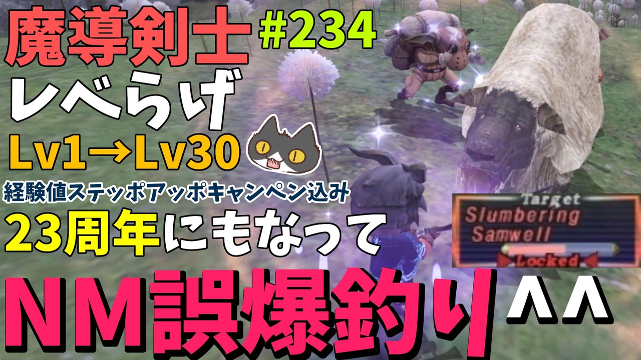 【轟くFF11】魔導剣士レベらげLv1→Lv30【復帰プレイ#234】 - ニコニコ動画