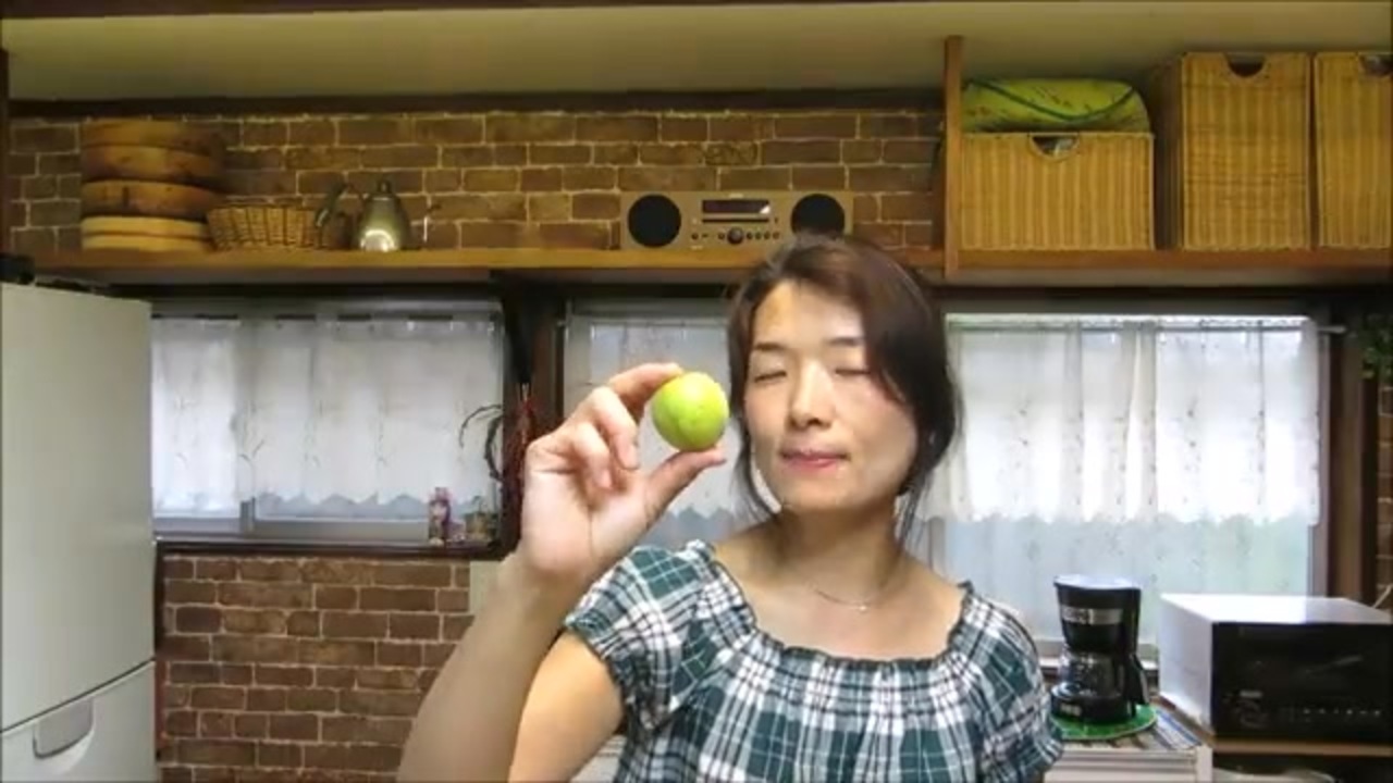 A receita de Umeshu 梅酒 , licor de ume (plum) japonesa.(sake sorbet by ...