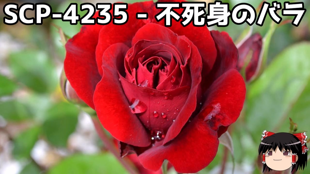 ゆっくりと一緒にSCPを紹介したい！その294【SCP】 - ニコニコ動画