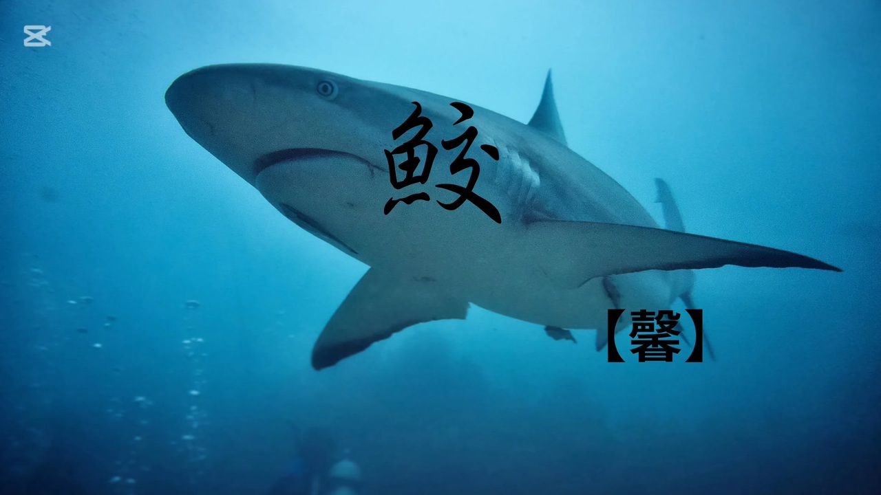 鮫歌ってみた - ニコニコ動画