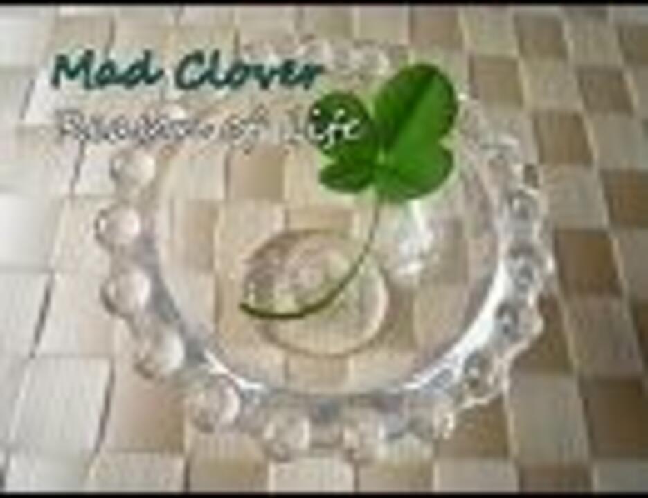 Mad Clover 『Reason of Life』 - ニコニコ動画