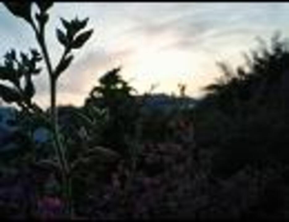 【アホに歌わせてみた】the pillows - LITTLE BUSTERS - ニコニコ動画