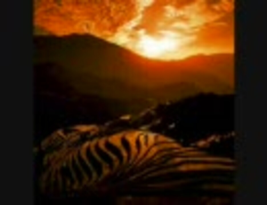 Sentire 「arcadia」 - ニコニコ動画