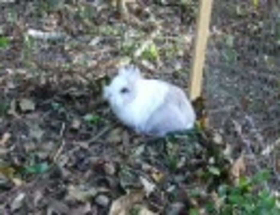 スライドショー的ななにかVer2 - ニコニコ動画